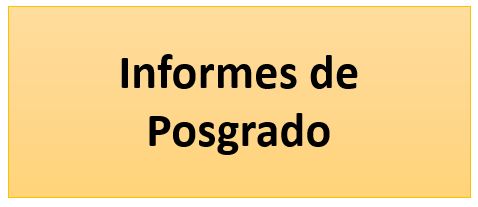 Informes 2021 – 2024 - Egresados