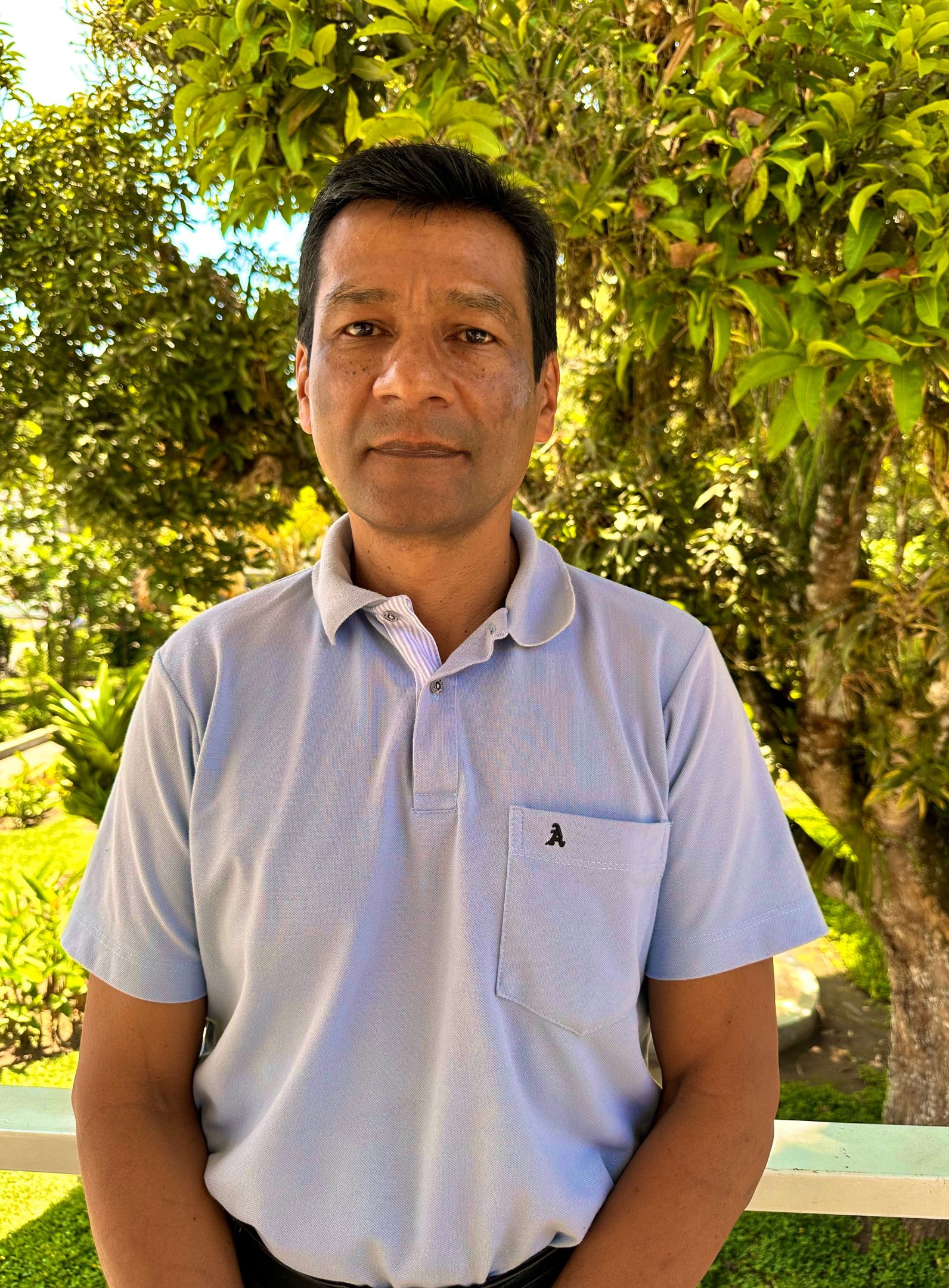 Profesores de Planta y Transitorios